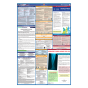 2026 Florida Labor Law Poster | State, Federal, OSHA in One Single ...