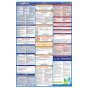 2026 Rhode Island Labor Law Poster | State, Federal, OSHA in One Single ...