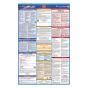 2026 South Carolina Labor Law Poster | State, Federal, OSHA in One ...