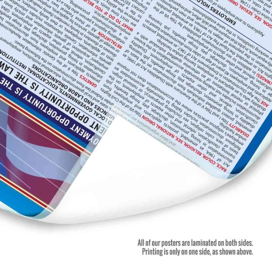 2025 Iowa Labor Law Poster | State, Federal, OSHA in One Single ...