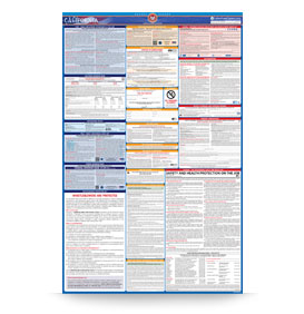 Complete Poster Downloads